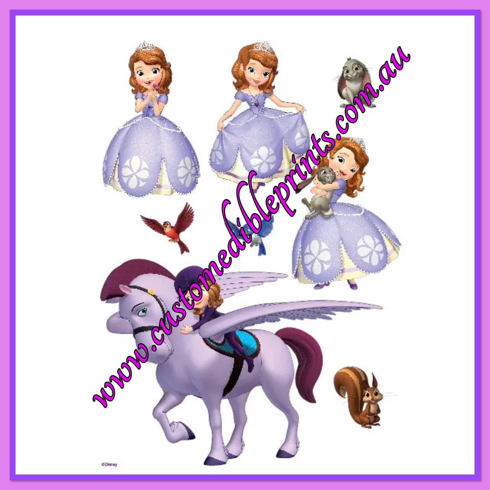 DISNEY SOFIA THE FIRST - PRINCESS SOFIA CHARACTER SHEET A4 EDIBLE IMAGE | CUSTOM EDIBLE PRINTS